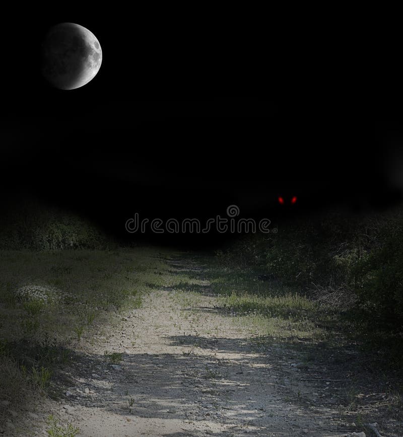 Dark Country Road with Red Glowing Eyes Stock Image - Image of path ...