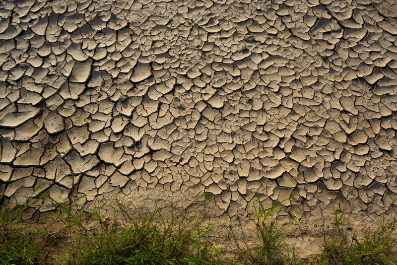 Dark Cracked Mud Texture on Exterior Wall of a Building with Green ...