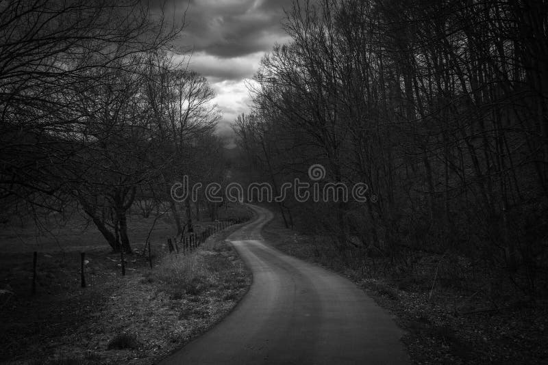 Dark and Creepy Winding Road in Black and White Tone Stock Photo ...