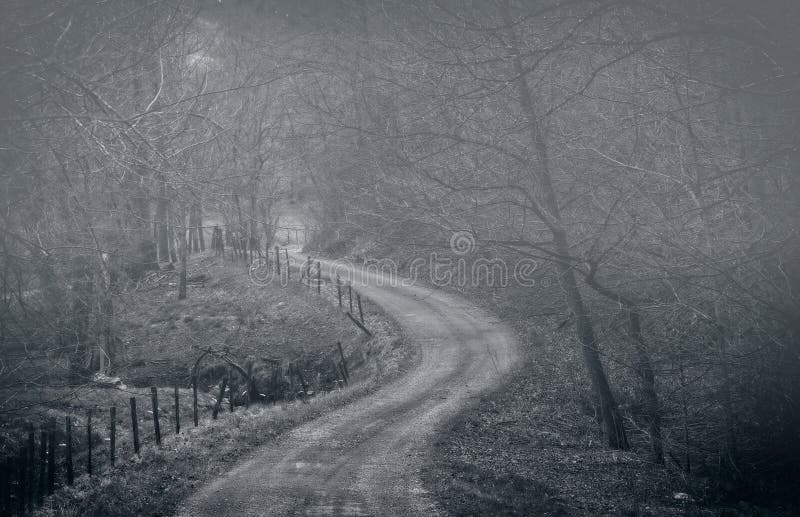 Dark and Creepy Winding Road in Black and White Tone Stock Photo ...