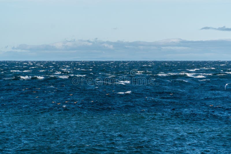 Dark Deep Blue Sea with Small Breaking Waves Stock Photo - Image of ...