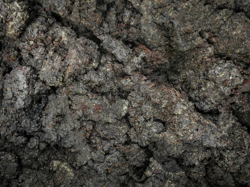 Dark Dirt Texture stock photo. Image of dirt, terrain - 26215198