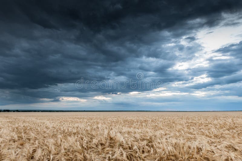Dark Dramatic Field and Sky Landscape Stock Image - Image of evening ...