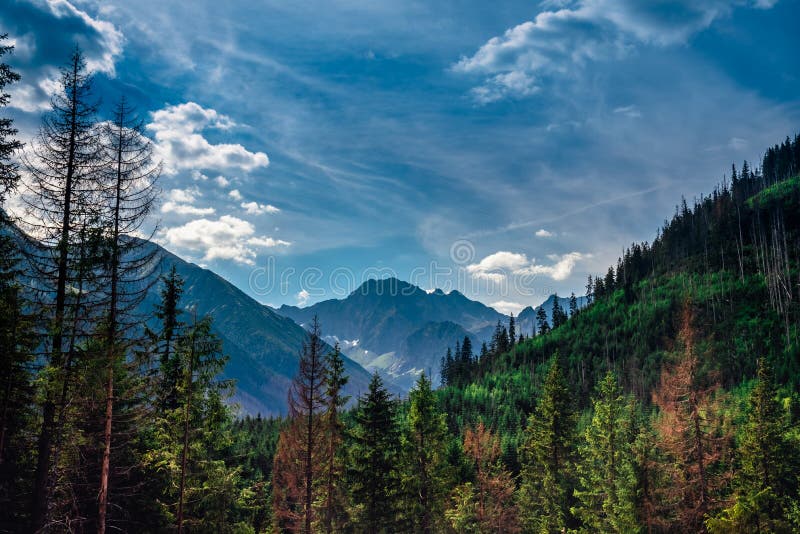 Dark and Dramatic View on the Mountain Peak in the Valley. Stock Image ...