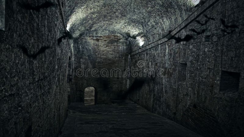 Dark Dungeon, Dim Evil Face Coming Out the Wall. Flaming Crypt Stock ...