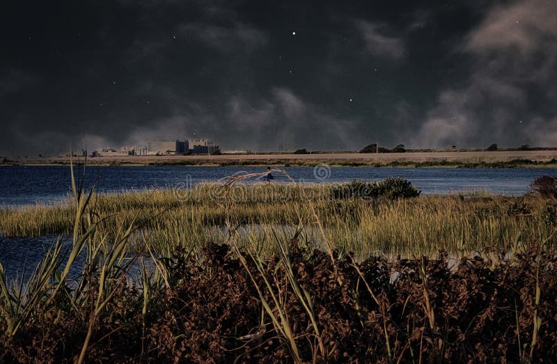 Dark fields Galveston stock photo. Image of galveston - 258147826