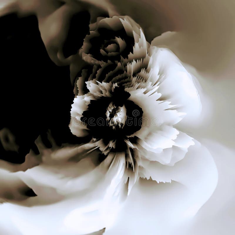 Dark flower art stock image. Image of bunga, petal, produce - 271662689