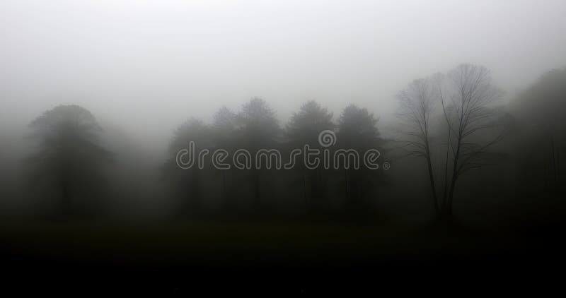 Dark and Foreboding Foggy Forest with Trees Stock Illustration ...