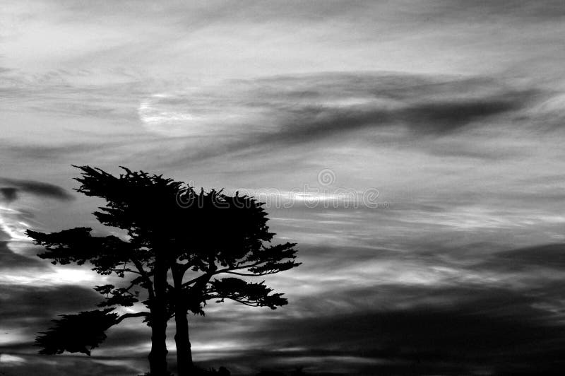 Foreboding Free Stock Photos & Pictures, Foreboding Royalty-Free and ...