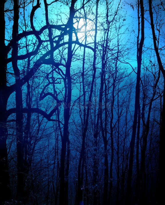 Moonlight Dark Forest Stock Illustrations – 43,541 Moonlight Dark ...