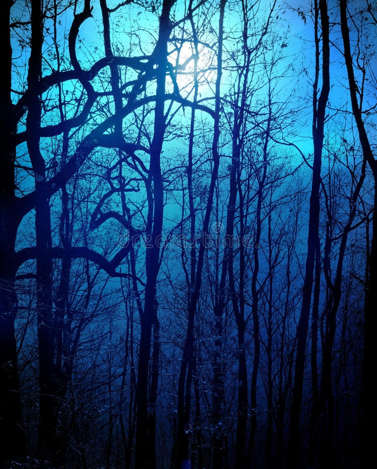 Moonlight Dark Forest Stock Illustrations – 43,541 Moonlight Dark ...