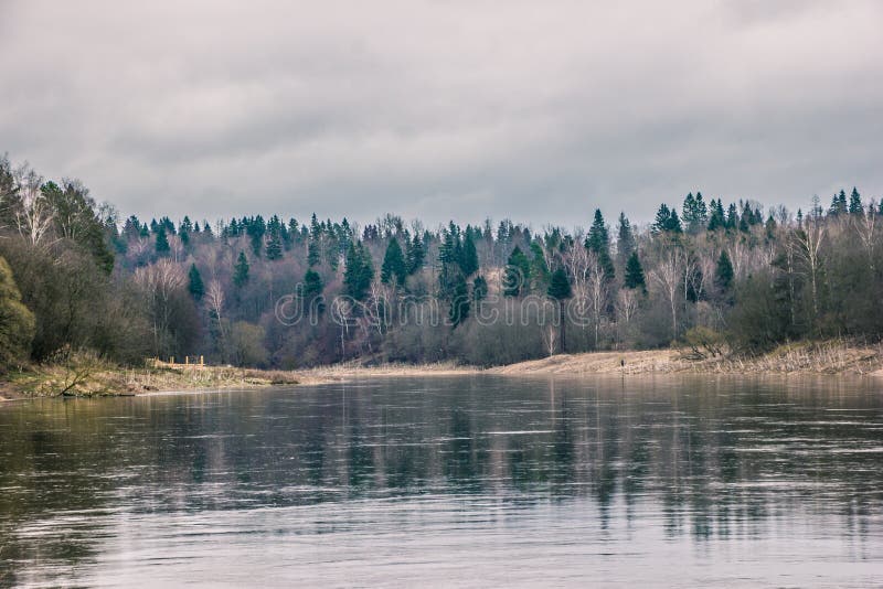 Dark Forest Beyond the Lake in the Spring Stock Photo - Image of ...