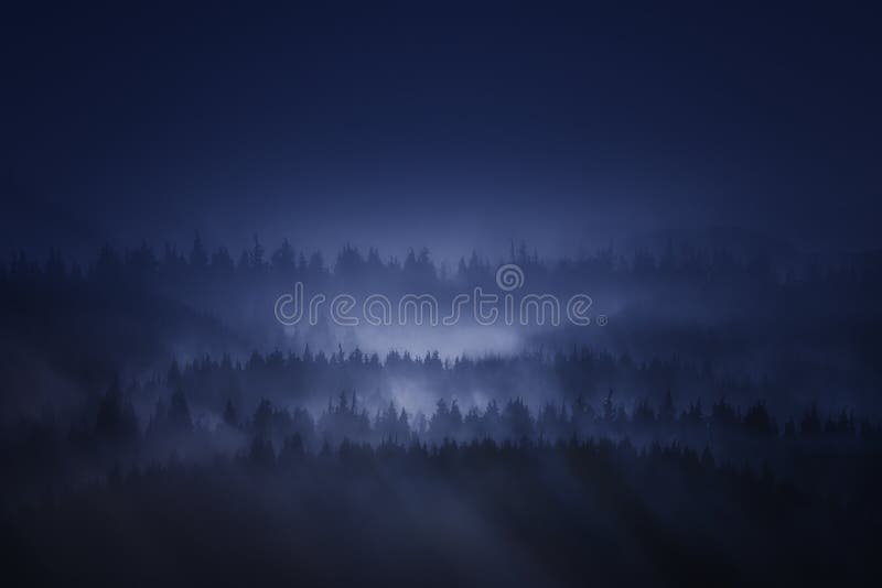 Dark Forest in the Mountain at Night Stock Photo - Image of moonlight ...