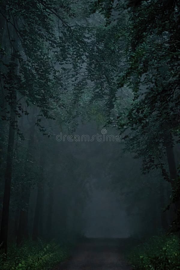 Deepr Dark Forest on a Rainy Day Stock Photo - Image of creepy, rain ...