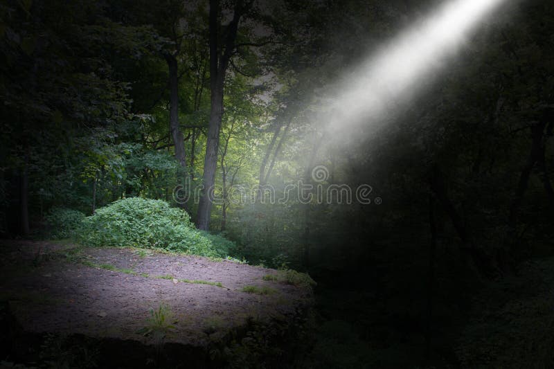 Dark Forest, Ray of Light Background Stock Photo - Image of trees ...