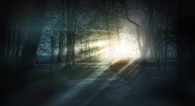 Dark Forest, Rays of Sunlight through the Trees, a Magical Forest Stock ...