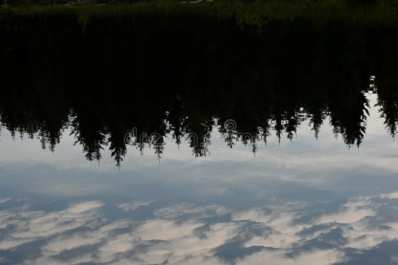 Dark Forest Reflecting in the Calm Water. Stock Image - Image of calm ...