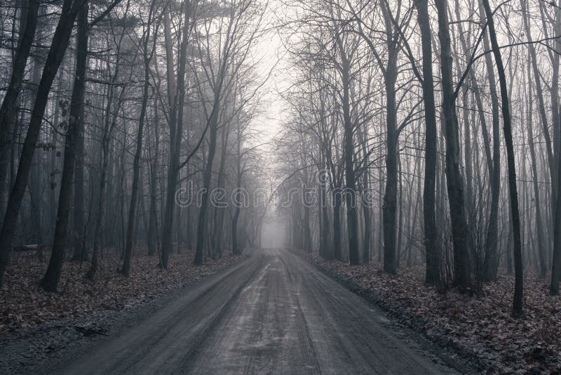 Road to the mist clouds stock image. Image of mist, landmark - 53705535