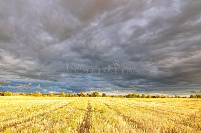 Clouds over the field. stock photo. Image of horizon - 123911578