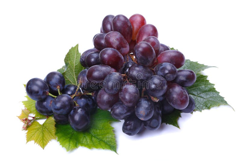Dark grapes stock image. Image of healthy, background - 16137003