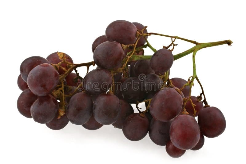 Dark grapes stock image. Image of fruites, ripe, healthy - 2490825
