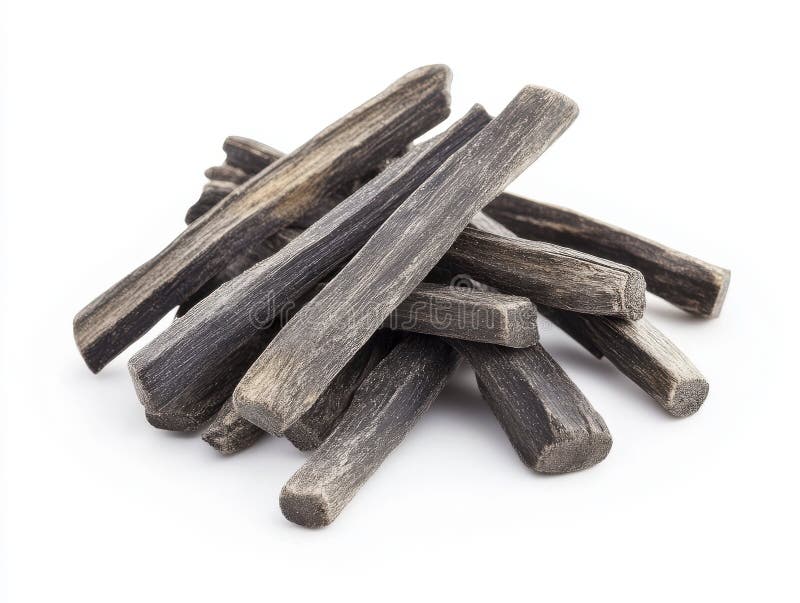 Dark Gray Dried Plant Stems on White Background Stock Illustration ...