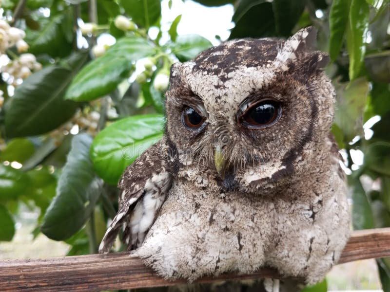 Close Range Shot of Wraped Up Present with Blurred Lights in the ...