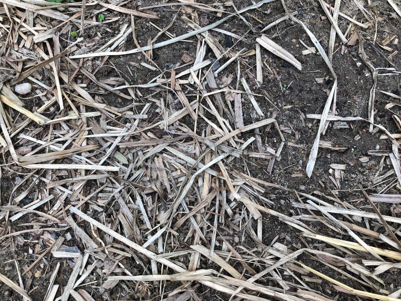 Dark Gray Straw Texture Background for Presentation Stock Image - Image ...