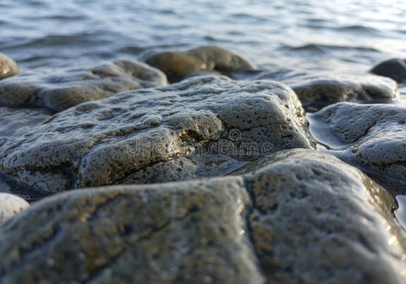 Dark Gray Wet Rocks at the Ocean Shore Stock Illustration ...