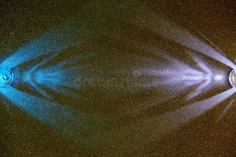 On a Dark Green and Brown Gradient Fine-grained Background, Light Blue ...