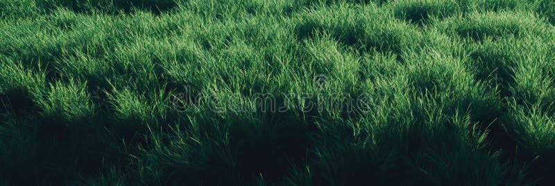 Dark Green Grassy Texture with Clumps and Shadows in an Uneven Pattern ...