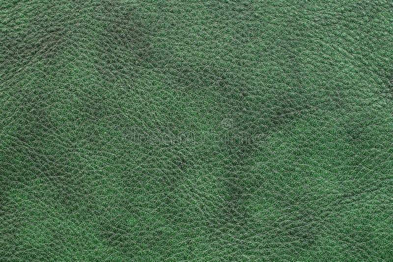 4,884 Dark Green Leather Texture Stock Photos - Free & Royalty-Free ...