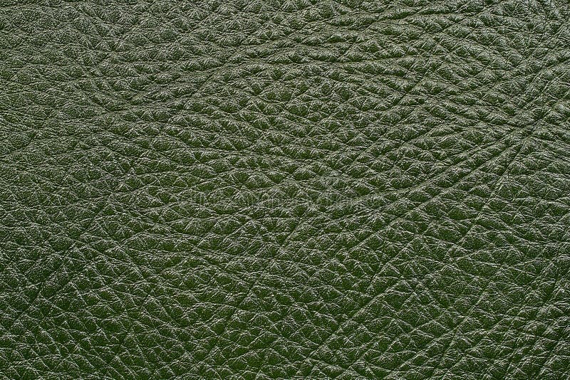 9,267 Dark Green Leather Background Stock Photos - Free & Royalty-Free ...
