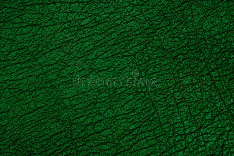 Dark Green Leather Texture. Stock Image - Image of closeup, animal ...