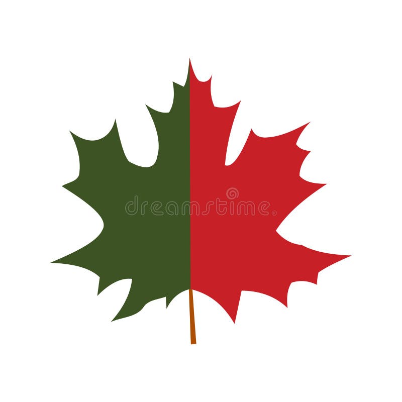 Dark Green Red Vector Maple Leaf Isolated On White Background Stock ... Dark Green Red Vector Maple Leaf Isolated On White Background Stock ...