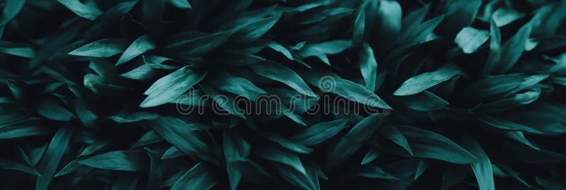 Dark Green Rough Grass Texture with Coarse Blades and Deep Shadows from ...