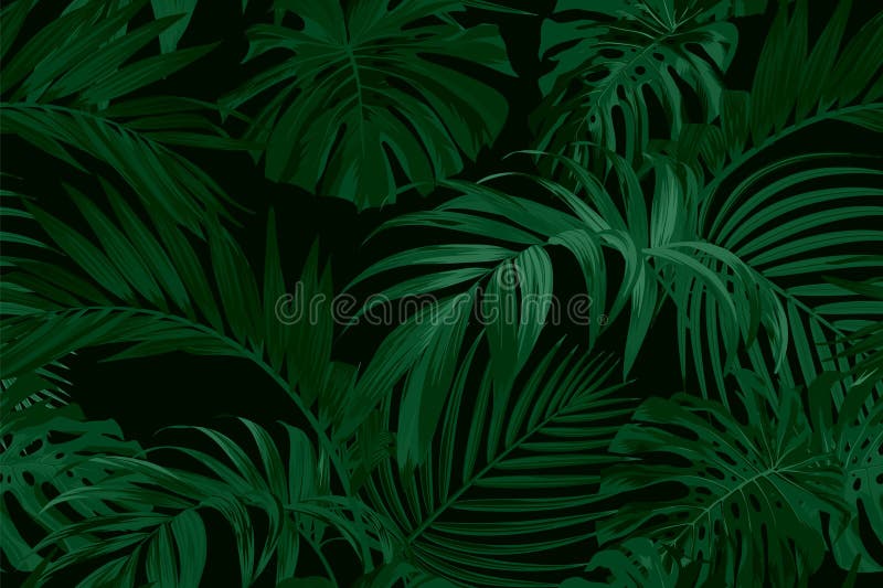 Dark Green Tropical Pattern with Palm Leaves. Summer Vector Background ...