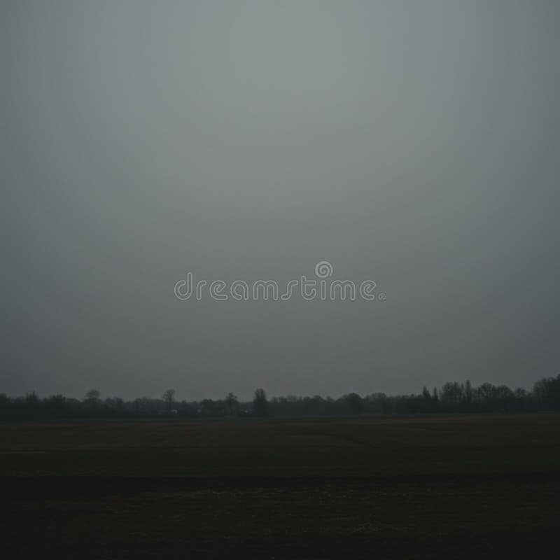 Dark Grey Landscape with Foggy Horizon and Trees Stock Illustration ...
