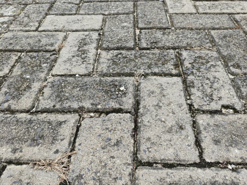Dark Grey Paving Blocks with Rough Texture and Mossy Surface Stock ...