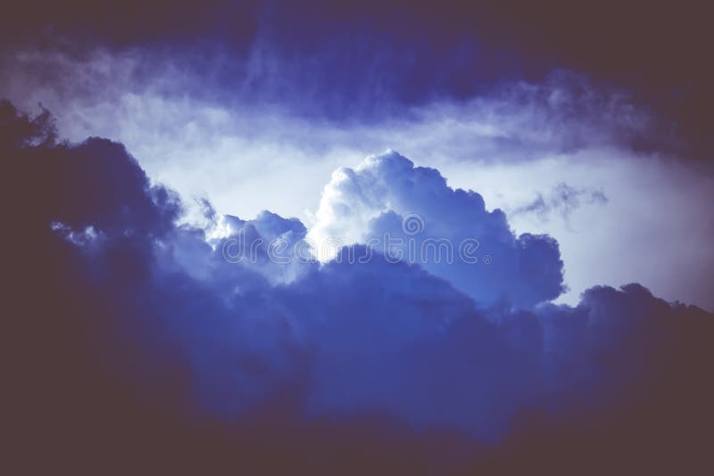 Trees with Milky Way stock image. Image of kamloops, light - 33426613