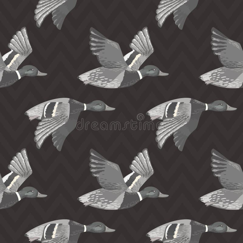 Dark Grey Vector Seamless Pattern with Flying Ducks Stock Vector ...