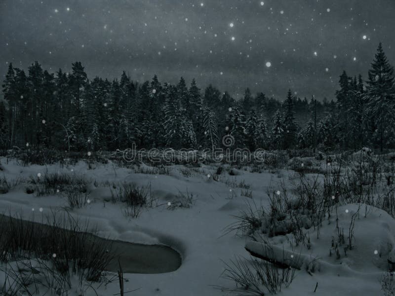 Dark Snowy Forest Background