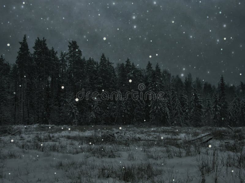 Dark Grey Winter Landscape with Tilted Trees and Falling Snow Stock ...