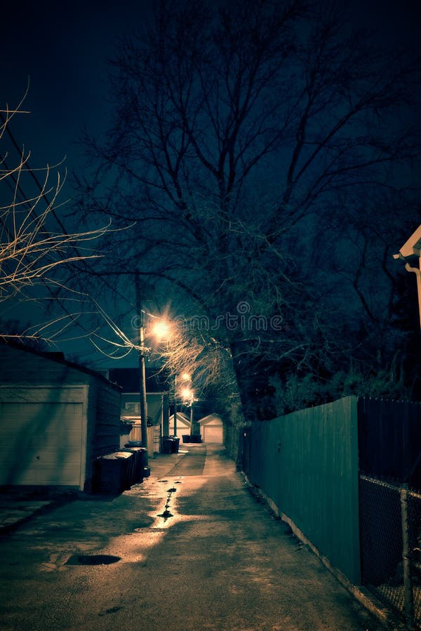 Dark, Gritty and Wet Chicago Alley at Night after Rain. Stock Photo ...