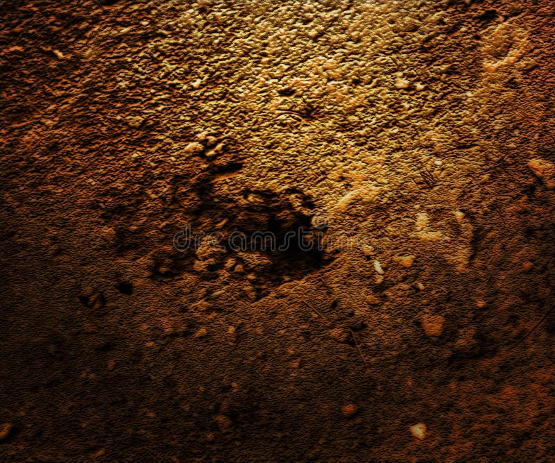 Ground Background Texture stock photo. Image of nature - 30041262
