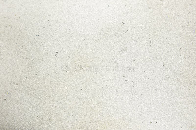 Hair, Fur and Dust Particles on White Sponge-like Texture Background ...