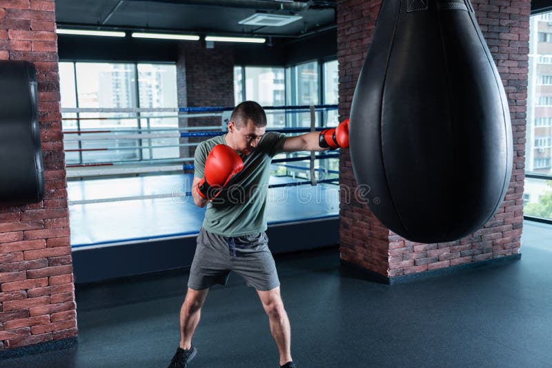 Dark-haired Boxer Wearing Bright Red Boxing Gloves Stock Photo - Image ...
