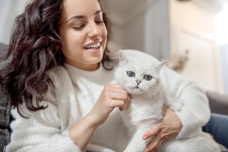 Dark-haired Young Woman with a Nice White Cat Stock Image - Image of ...