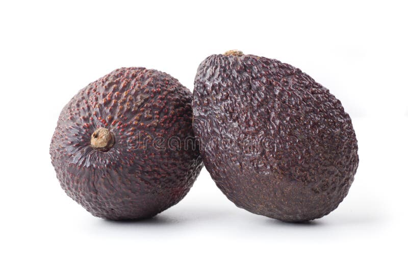 Fuerte avocados stock image. Image of exotic, avocados - 23676775
