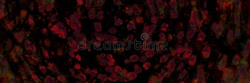 Dark Horror Background in Black and Red Tones, Sepia Rusty Panoramic ...